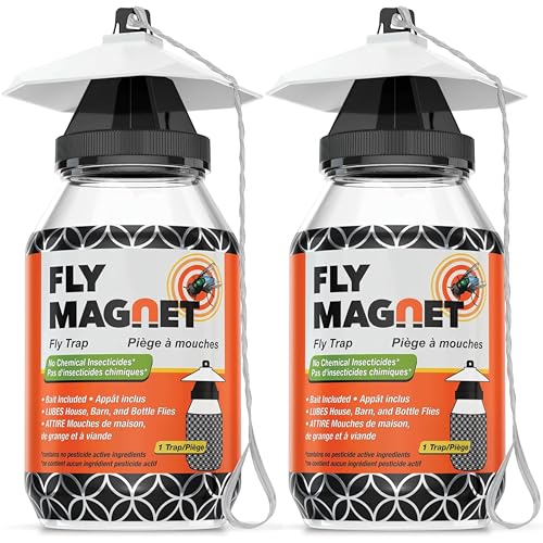 Best Outdoor Gnat Trap: Ultimate Non-Toxic Solution for Bug-Free Patios ...