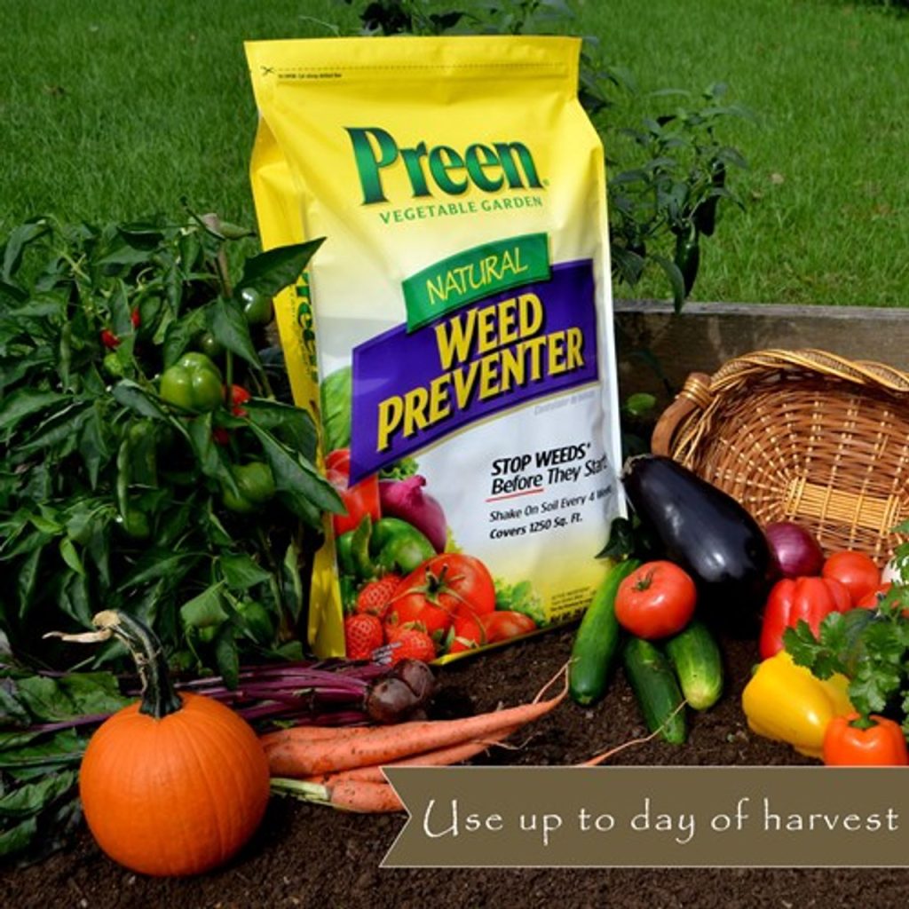 Can You Put Preen in a Vegetable Garden: Safe Gardening Tips - Garden
