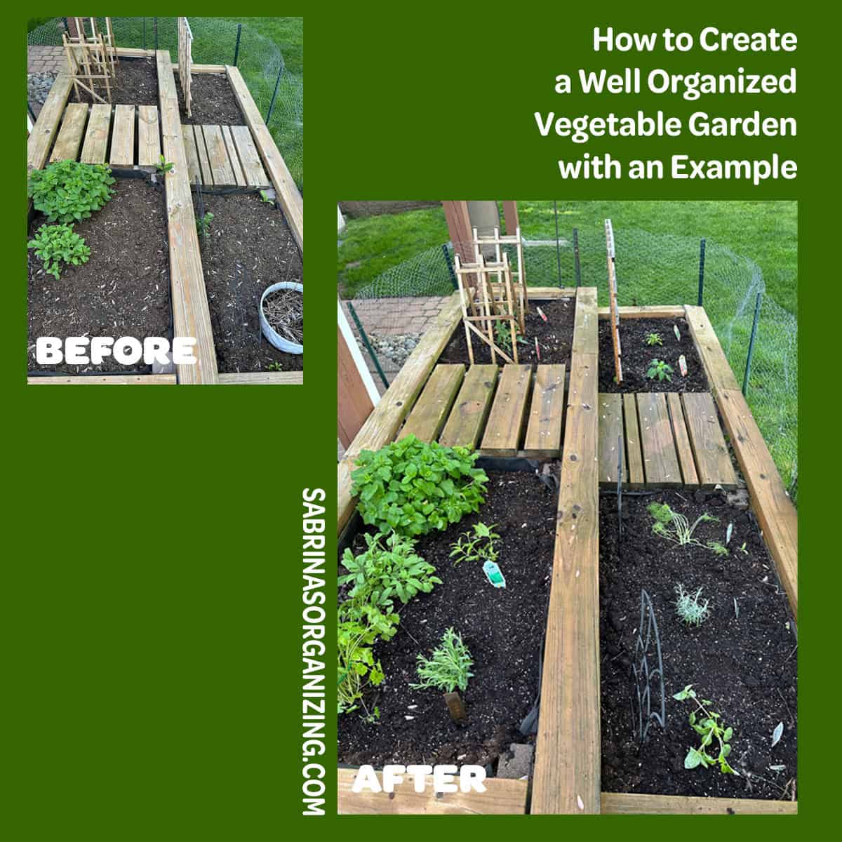 How to Construct a Vegetable Garden: Beginner's Guide - Garden