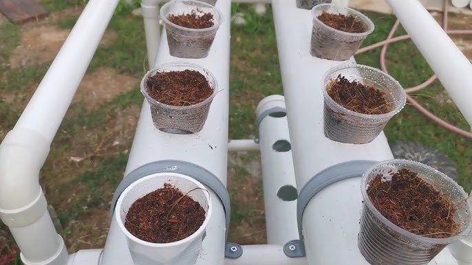 How to Make a Hydro Garden: Ultimate Beginner's Guide - Garden